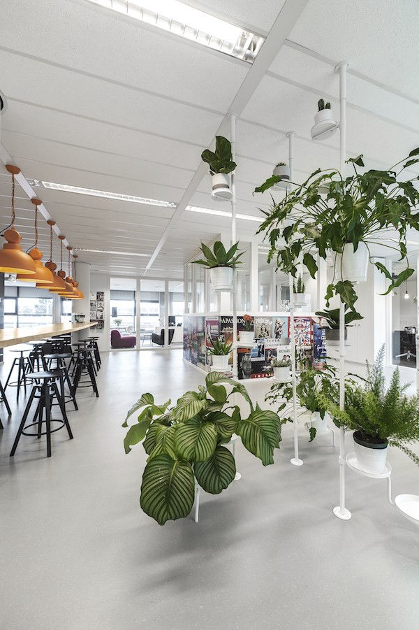 Office | Ticketmaster - Design Studio Nu : Design Studio Nu