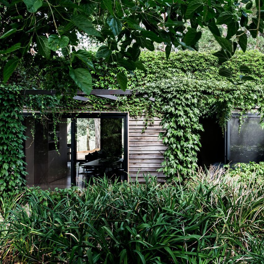 Tuin | Overkapping - Design Studio Nu : Design Studio Nu